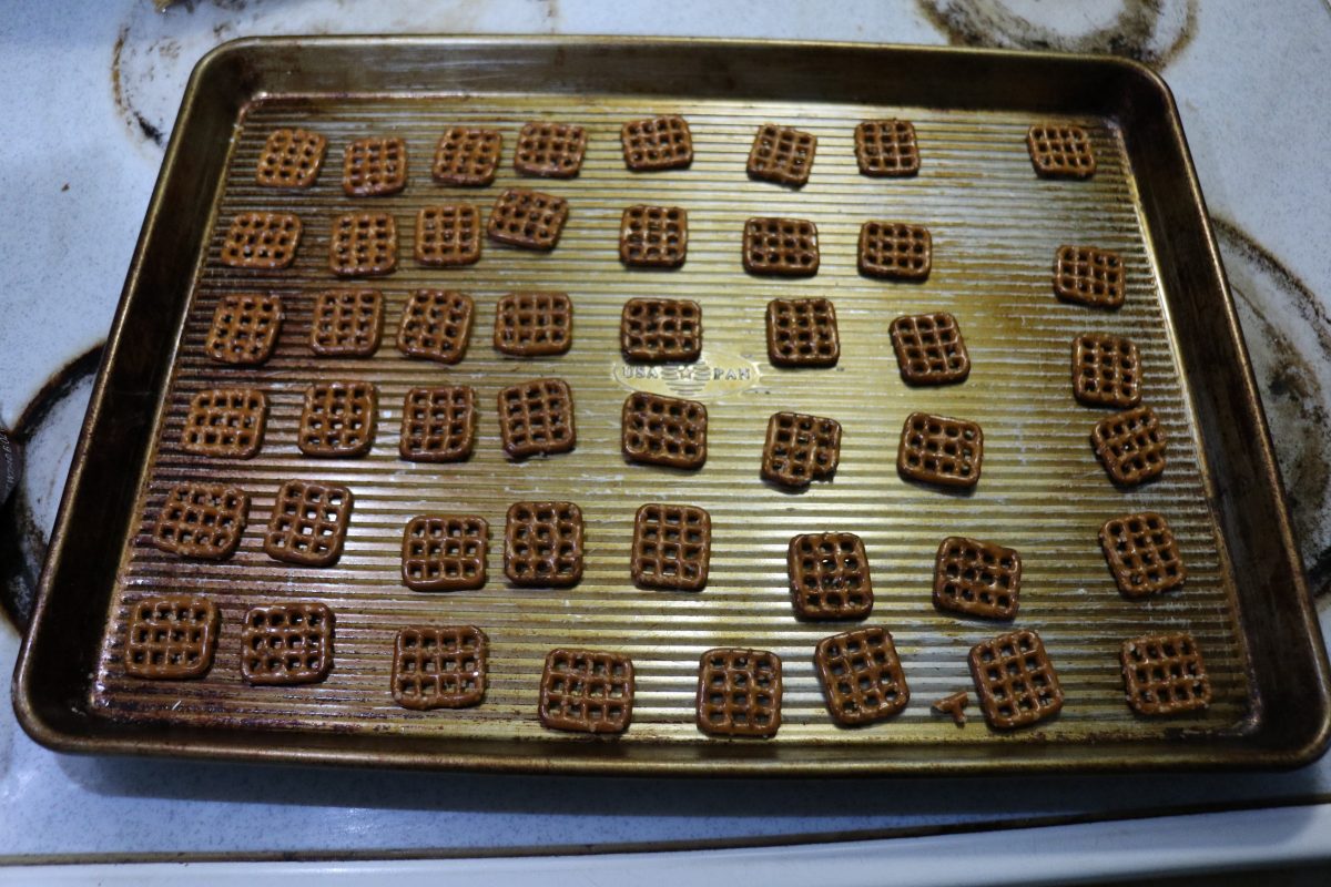 Sweet and Salty Beetle Cookies | Bug Week 2024