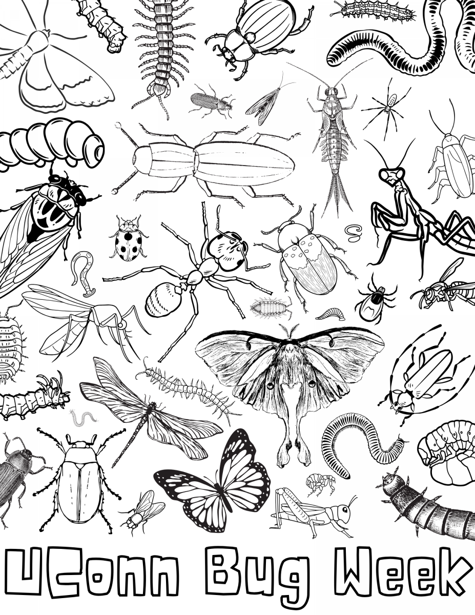 2025 Bug Week Programs & Activities | UConn Extension Bug Week 2025